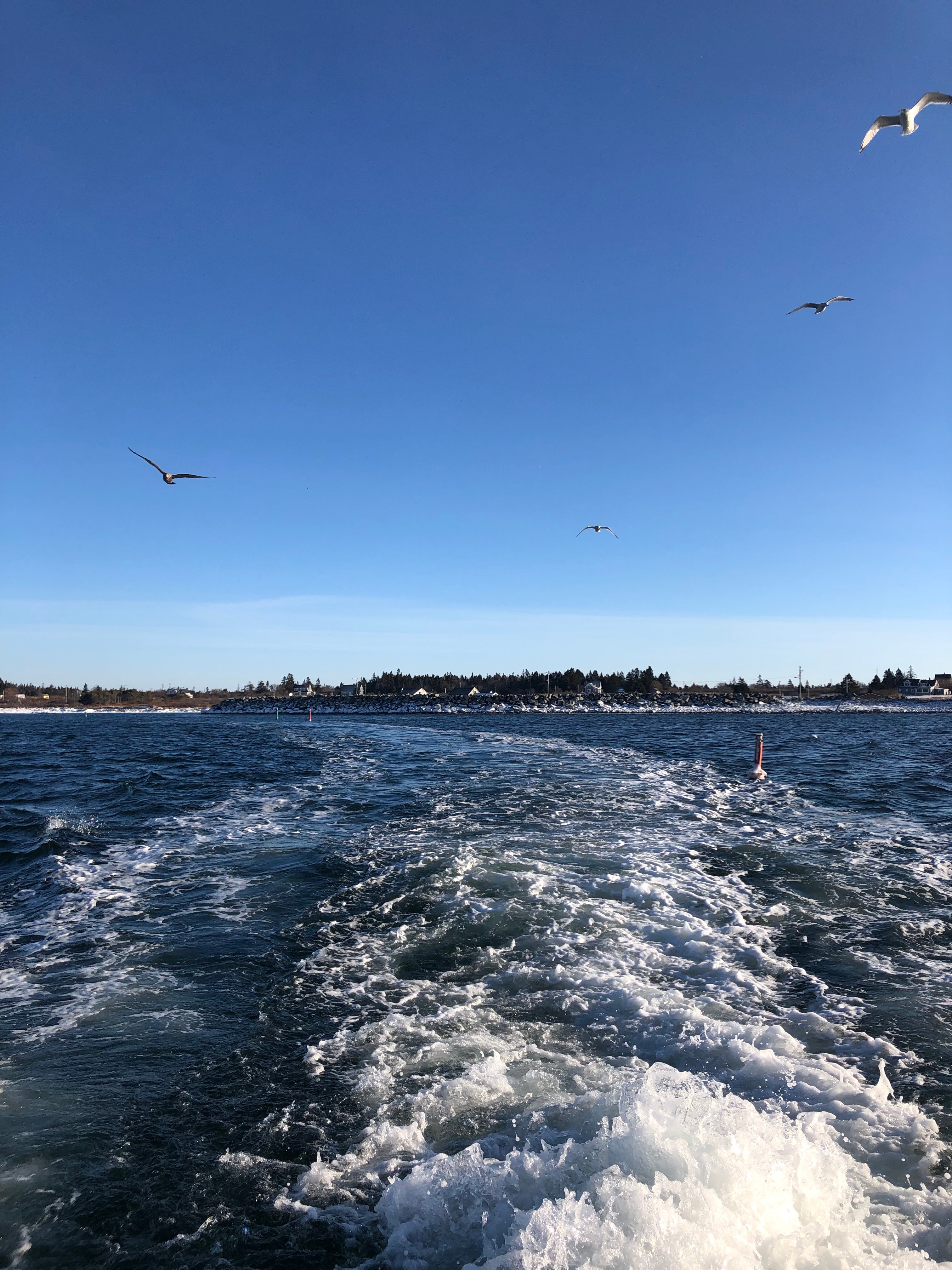 Get a Taste of Nova Scotia's South Shore Lobster Crawl | Budget Travel