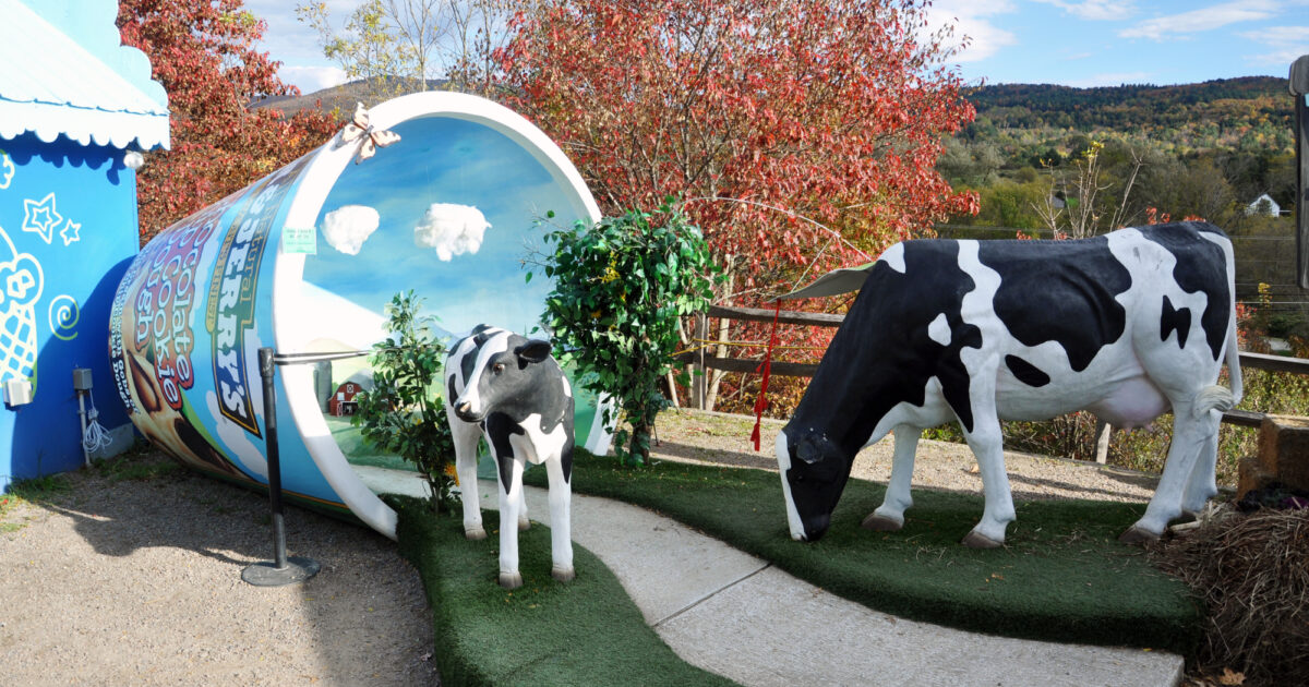 Budget Travel | 10 Delicious Food Factory Tours