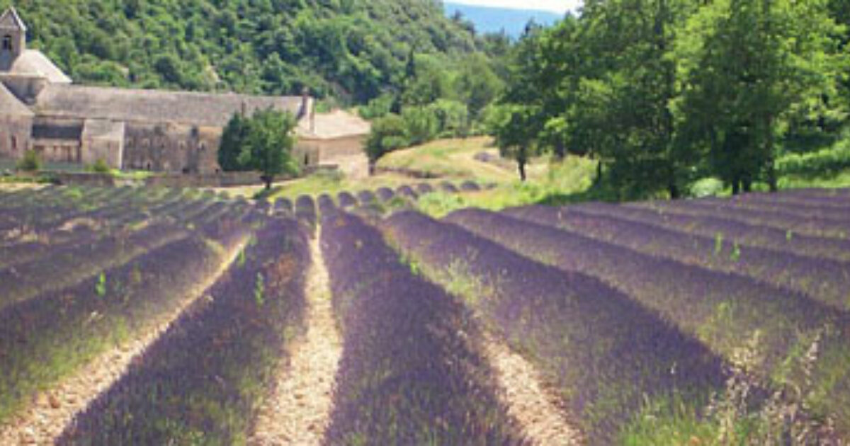 Budget Travel | Top 10 reasons we love France