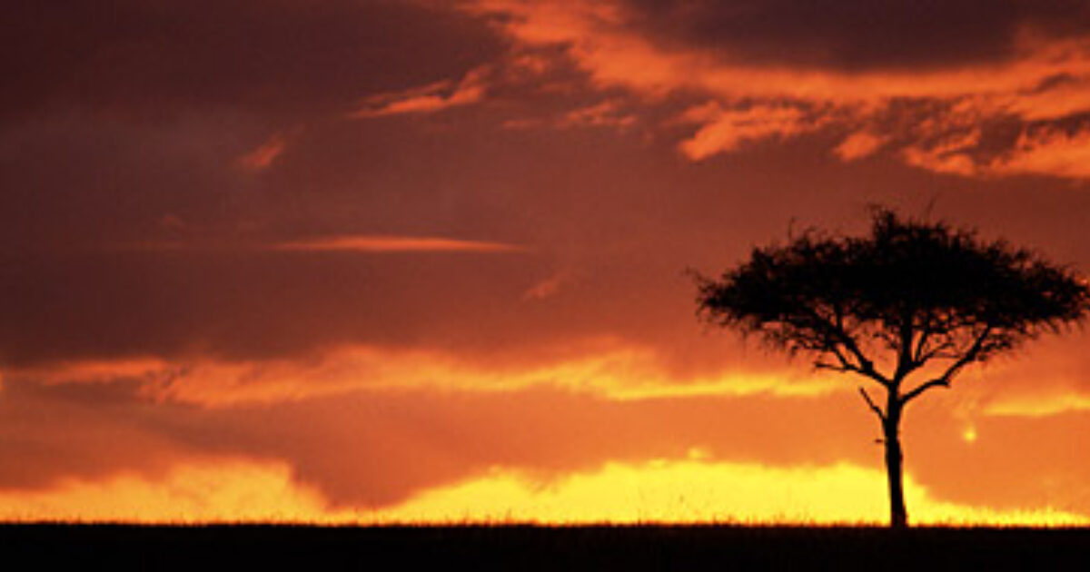 Budget Travel | Obamarama: 2Afrika adds new tour in honor of our 44th…