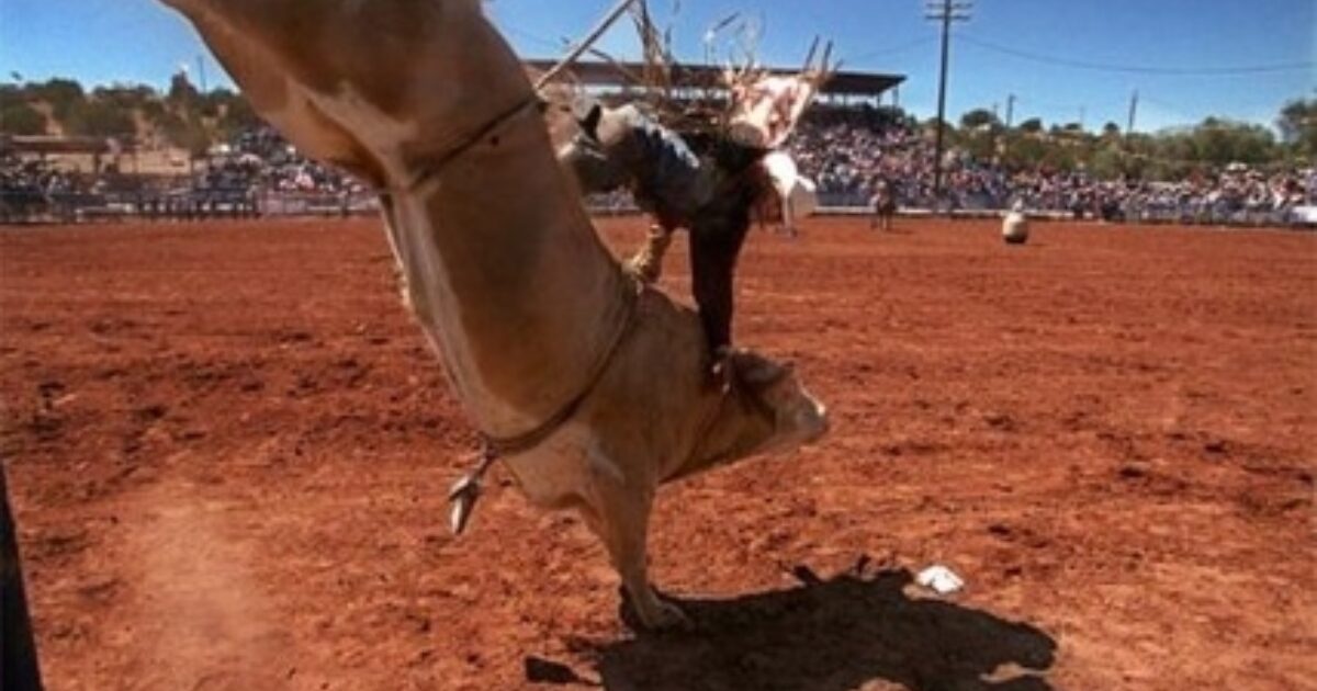 Budget Travel | Picture of the day: Navajo bull-riding