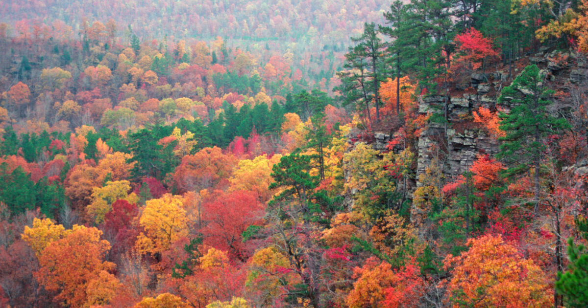 Budget Travel | Road Trip: The Arkansas Ozarks