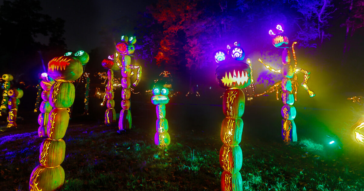 Budget Travel | 10 American Fall Festivals Every Traveler Should…