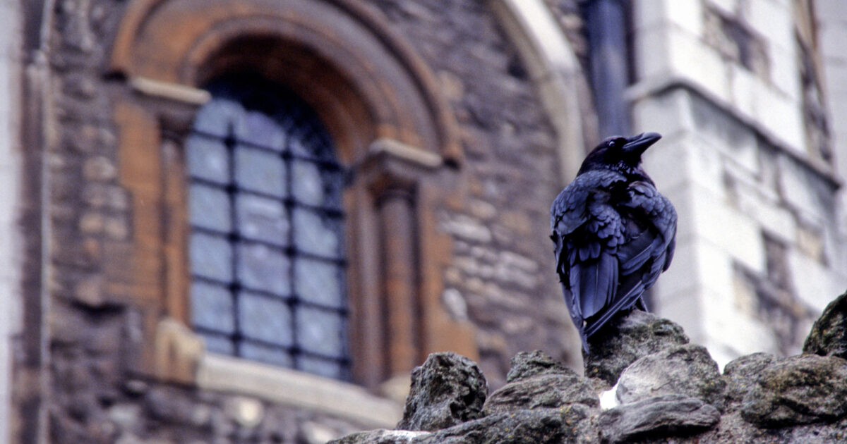 Budget Travel | 7 Most Haunted U.K. Landmarks