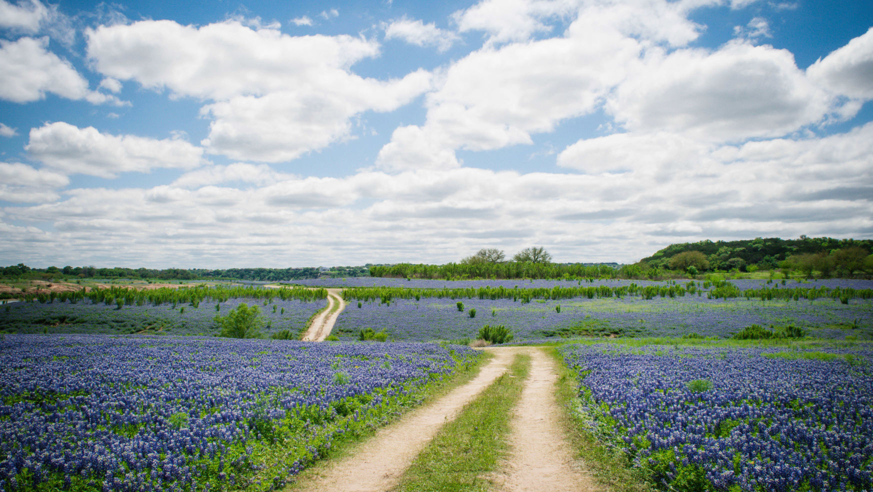 The Best Things to Do in Texas Hill Country | Budget Travel