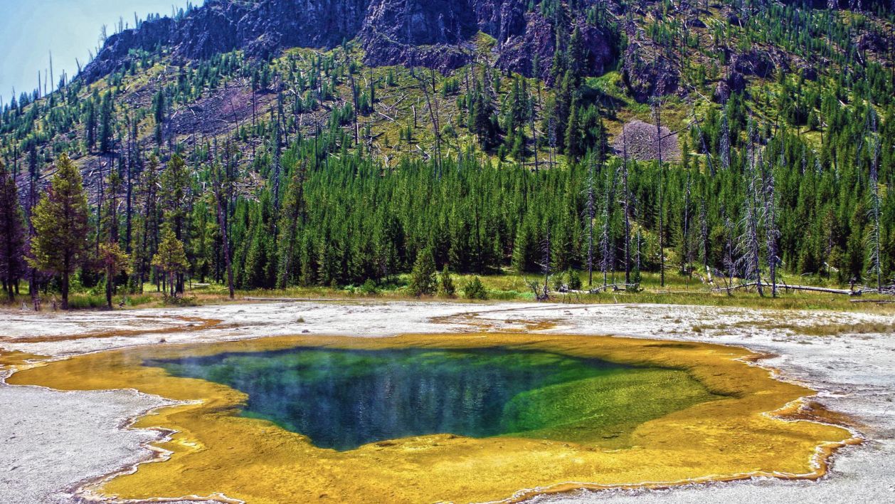 10 insider tips for visiting Yellowstone | Budget Travel