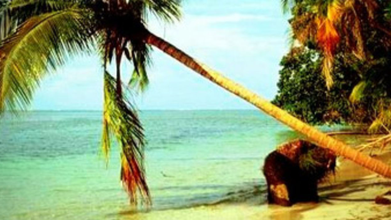 Costa Rica's lesser-known Caribbean town of Puerto… | Budget Travel