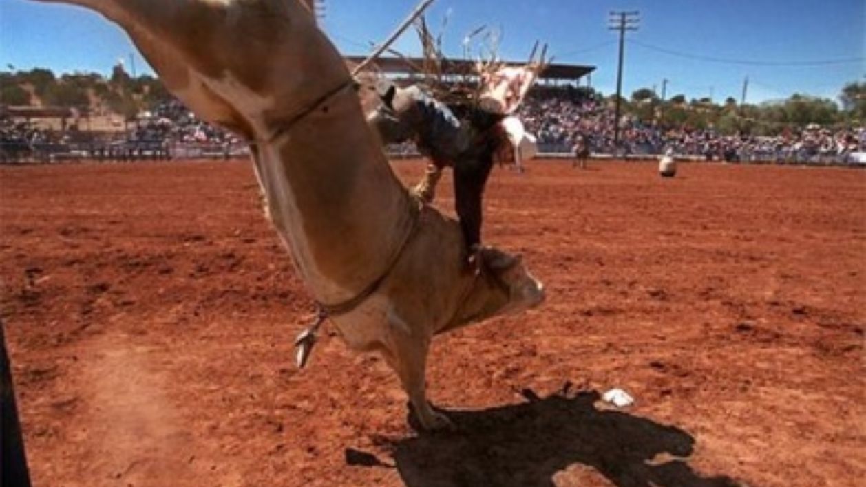 Picture of the day: Navajo bull-riding | Budget Travel