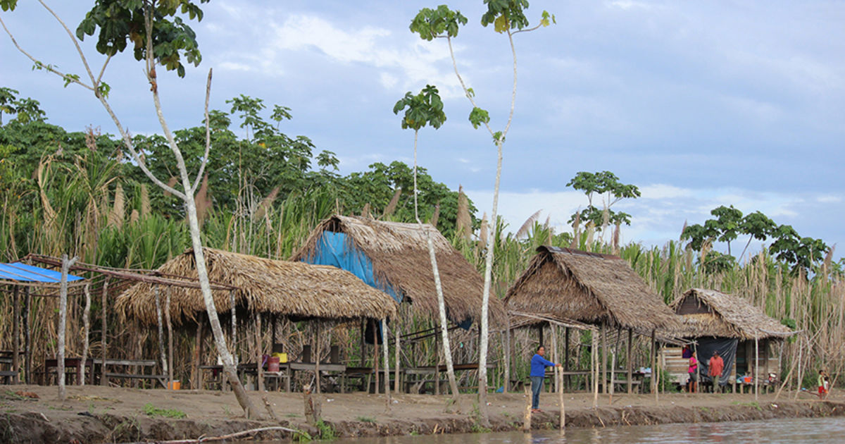 Journey to the Shipibos of the Peruvian Amazon | Budget Travel