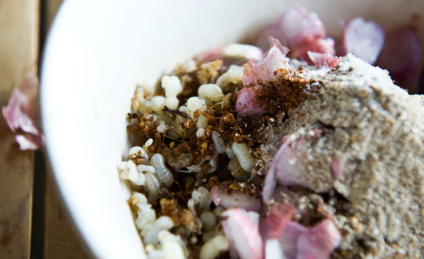 Photos: Tasty Termites, Delicious Dragonflies, and 13… | Budget Travel