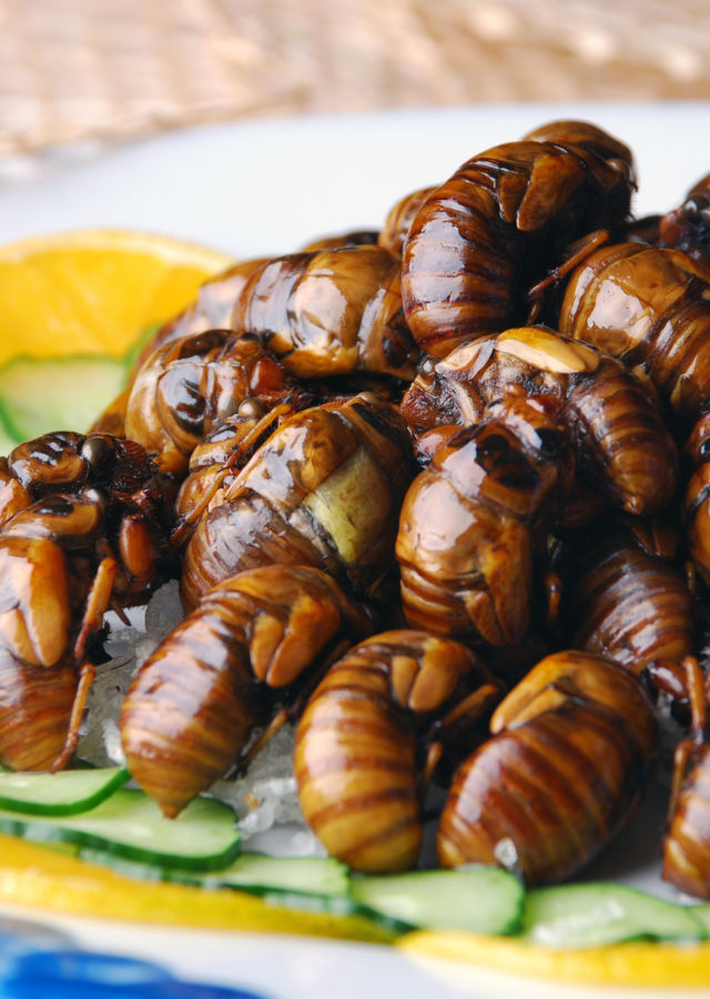 15 Insects You Won't Believe Are Edible | Budget Travel