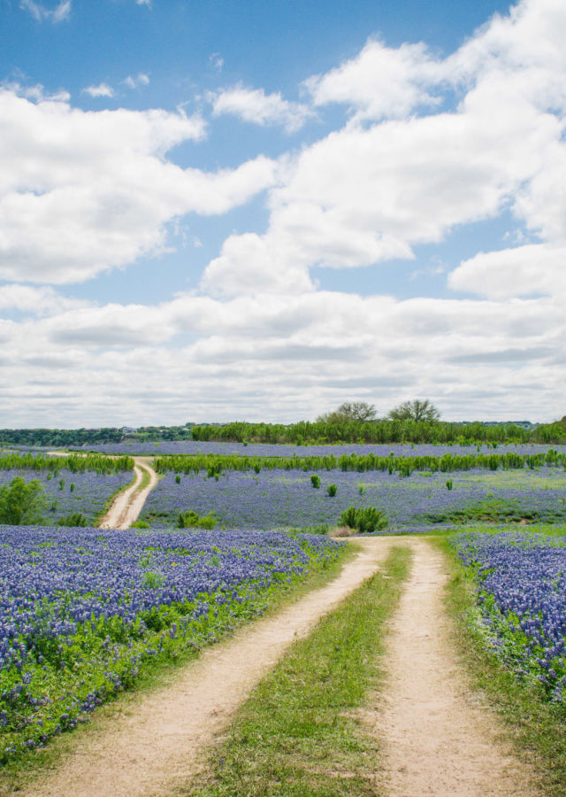 The Best Things to Do in Texas Hill Country | Budget Travel