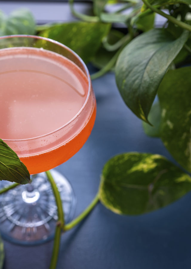 6 American Bars Serving Light & Tasty Aperitif… | Budget Travel