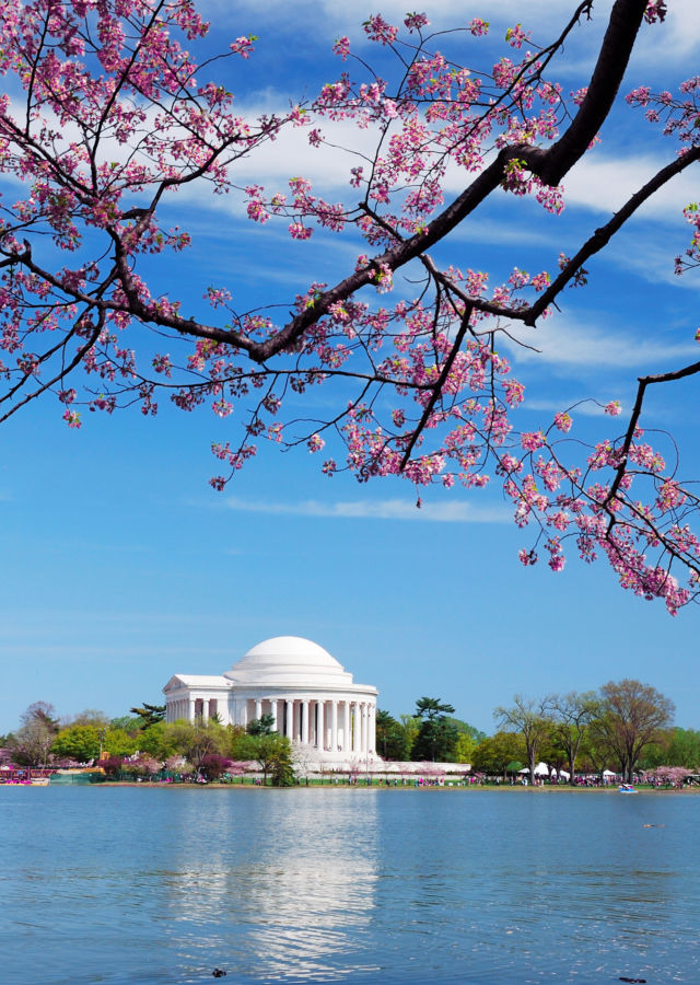 20 Fabulously Free Things to Do in D.C. | Budget Travel