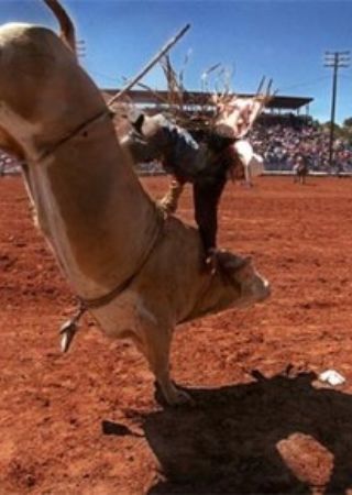 Picture of the day: Navajo bull-riding | Budget Travel