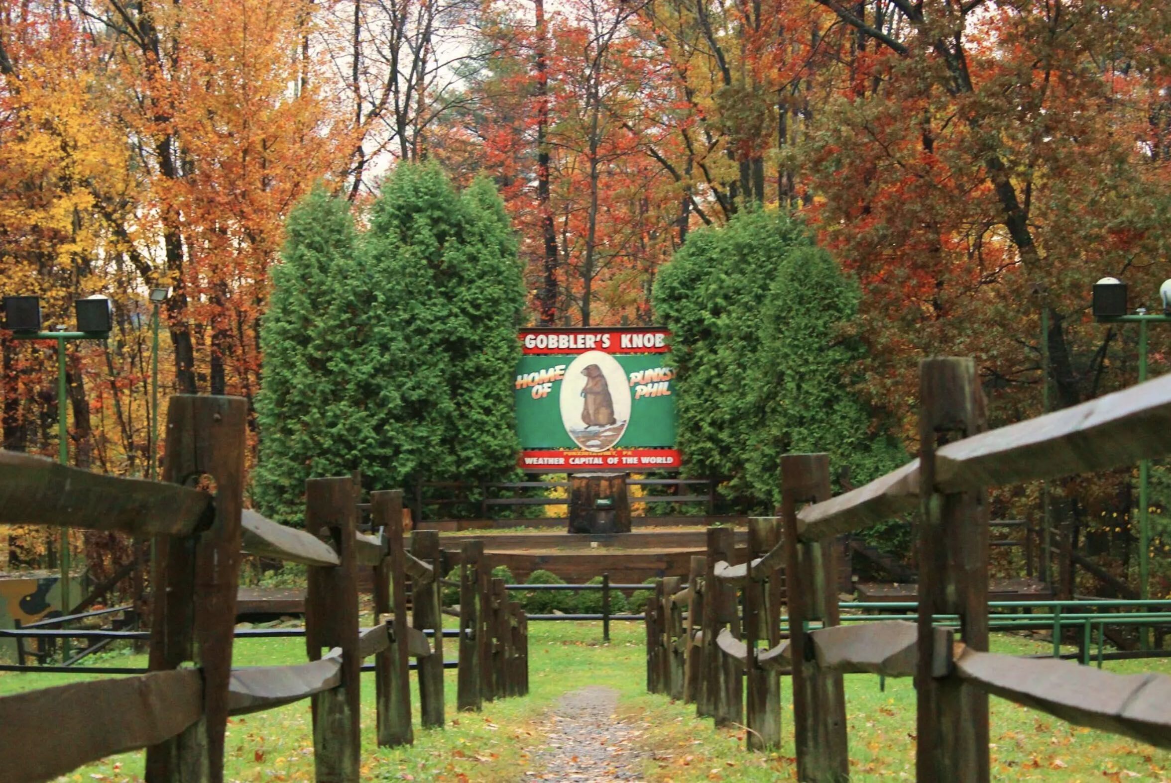 Budget Travel | Visit the Home of Punxsutawney Phil for Groundhog Day