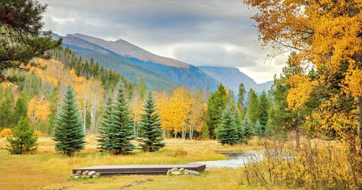 Budget Travel | See Peak Fall Colors and Wildlife at this Colorado…